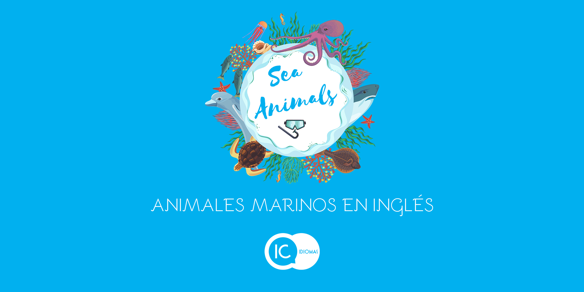 Animales marinos en inglés. Sea animals - IC Idiomas